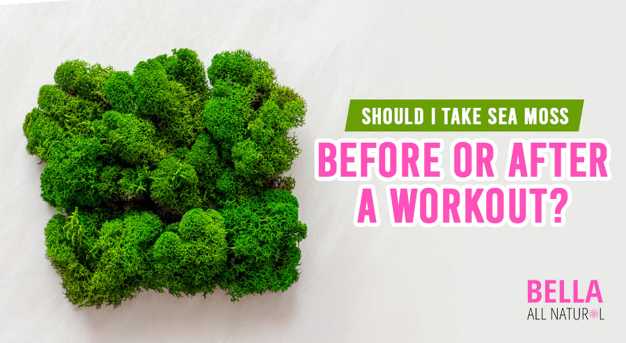 Should I Take Sea Moss Before or After a Workout? – Bella All Natural