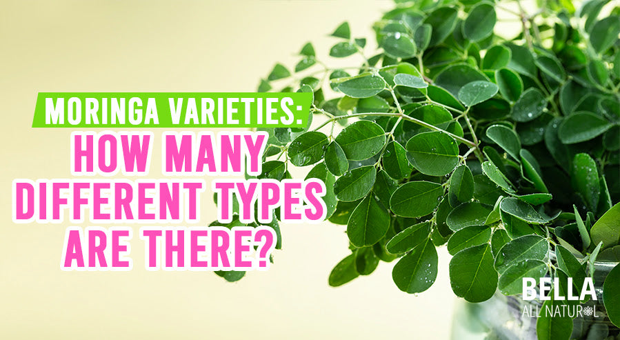 Moringa Varieties: How Many Different Types Are There? – Bella All Natural