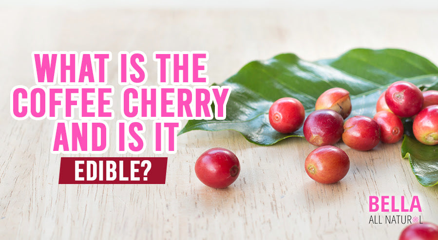 Guide: What Is the Coffee Cherry and Is It Edible? – Bella All Natural